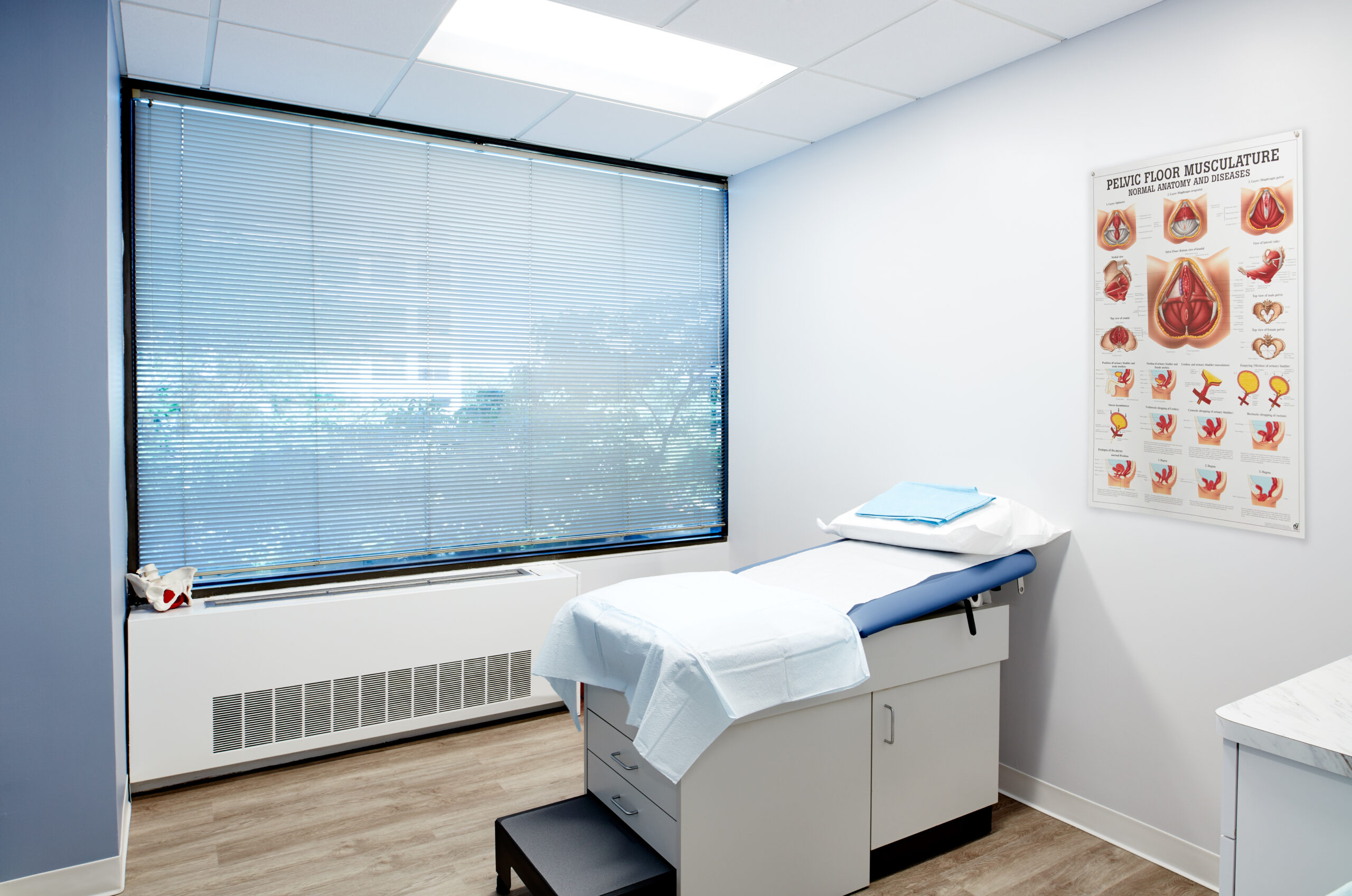 Pelvic Pain Specialists Washington DC (Bethesda, MD)