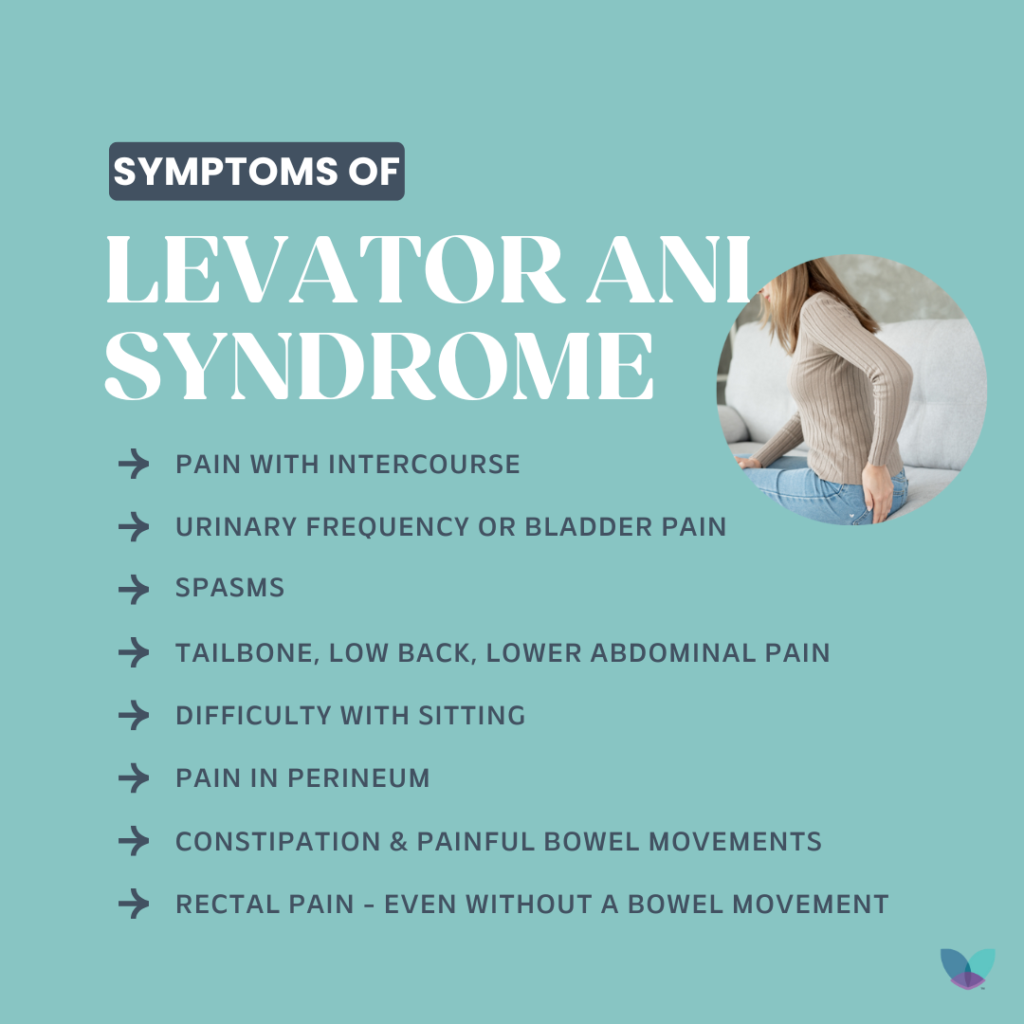 Understanding Levator Ani Syndrome & Chronic Pain - Pelvic ...
