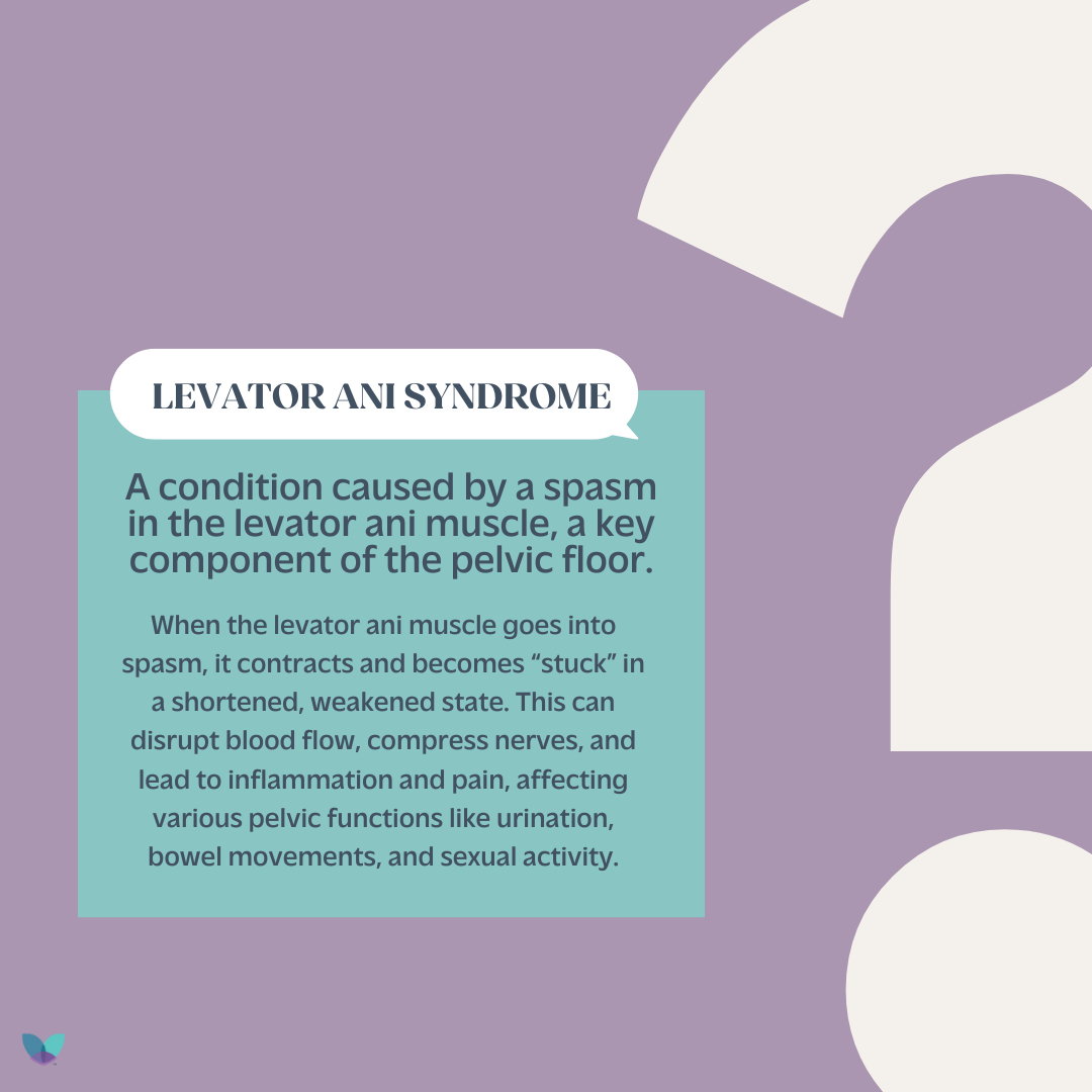 Understanding Levator Ani Syndrome & Chronic Pain - Pelvic ...