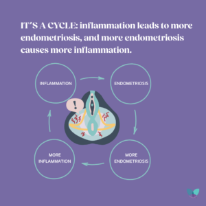 How Inflammation Fuels the Growth of Endometriosis Lesions - Pelvic ...
